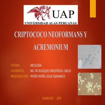 CRIPTOCOCO NEOFORMANS Y ACREMONIUM.pptx