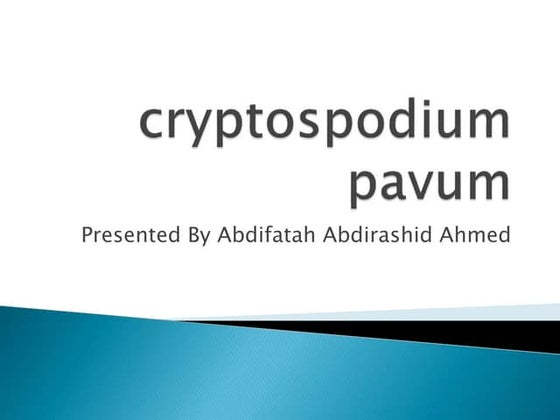 Cryptosporidium parvum | PPT | Infectious Diseases | Diseases and ...