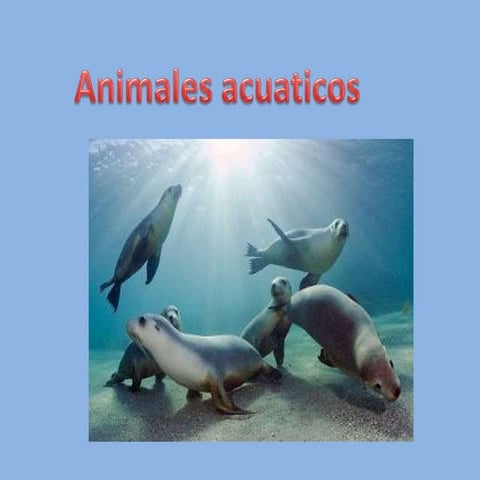 ANIMALES ACUATICOS | PPTX
