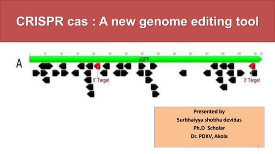 CRISPR-Cas system | PPT