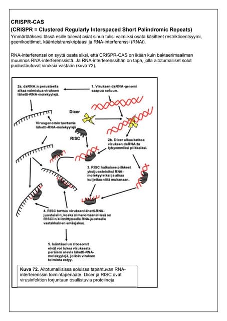 Next Generation Sequencing (NGS, MPS) ja eDNA eli ympäristö-DNA.pdf