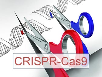 CRISPR | PDF