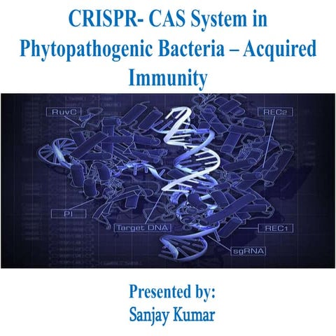 CRISPR cas system | PPTX