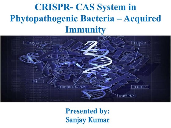 CRISPR CAS-9 presentation.pptx