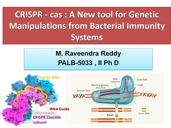 CRISPR-Cas system | PPT