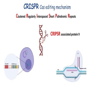CRISPR Cas 9.pptx