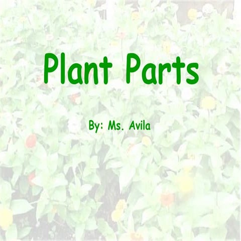 Plant Parts 1-2nd grade | PPT