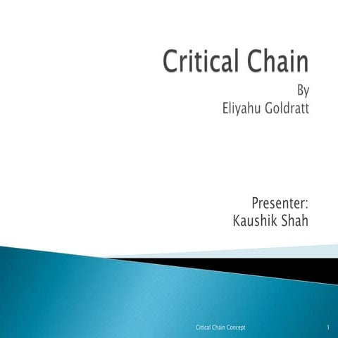 Effective Program Management | PPTX