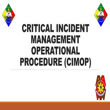 critical incident.pptx