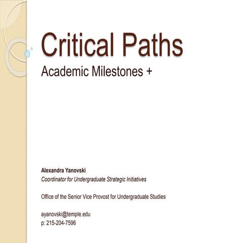 Critical Paths Ppt