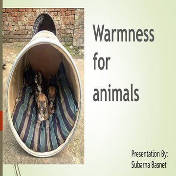 Providing warmness for the street animals .pptx
