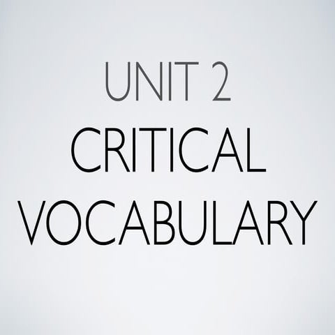 Critical Vocabulary | PDF