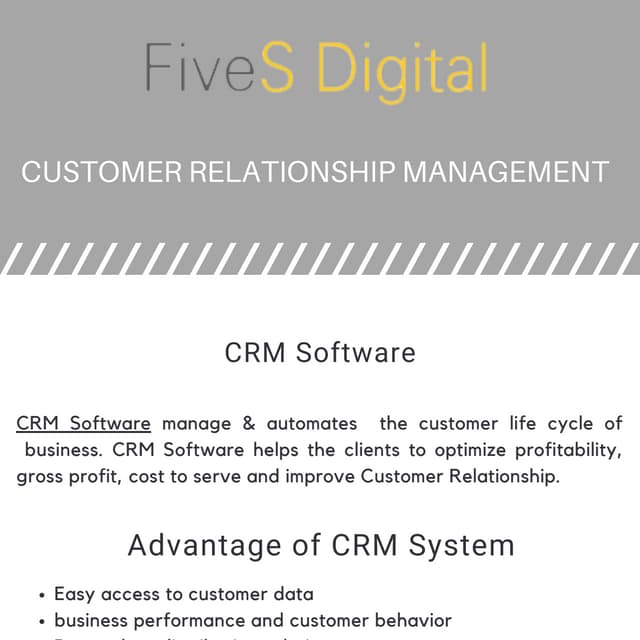 CRM Software - FiveSdigital | PDF