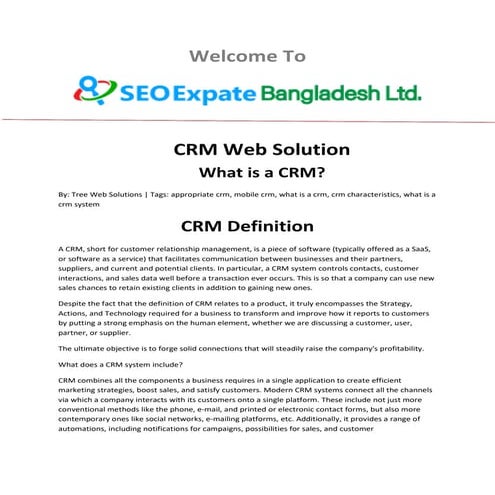 CRM Web Solution.pdf