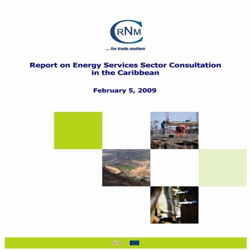 CRNM - Report On Energy Services Sector Consultation | PDF