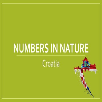 Plitvice lakes national park Slovenia | PPS