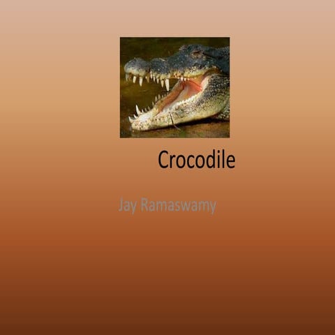 Crocodile | PPTX