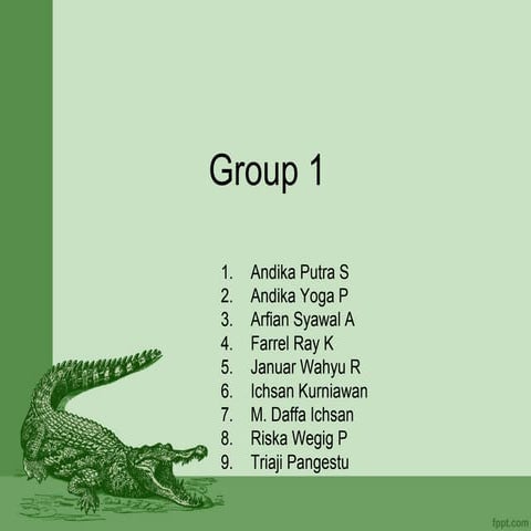 Crocodile | PPT