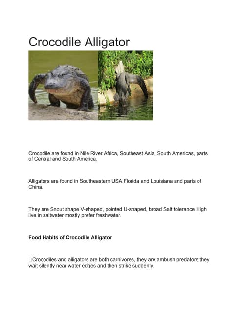 Why Do People Hunt Crocodiles? | PDF | Reptiles | Pets