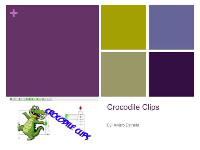 Vertebrates chordata chart | PDF