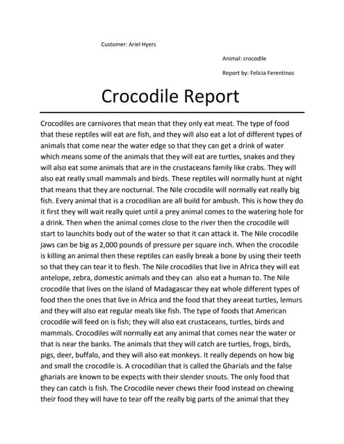The Crocodile | PPT