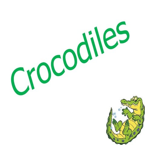 Crocodiles | PPT