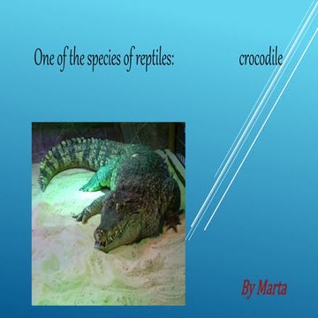 Crocodiles Pptx