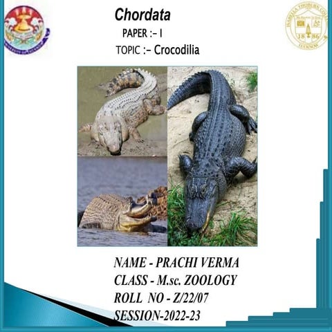 Crocodilia-1.pptx