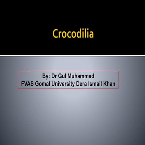 Crocodilia | PPTX