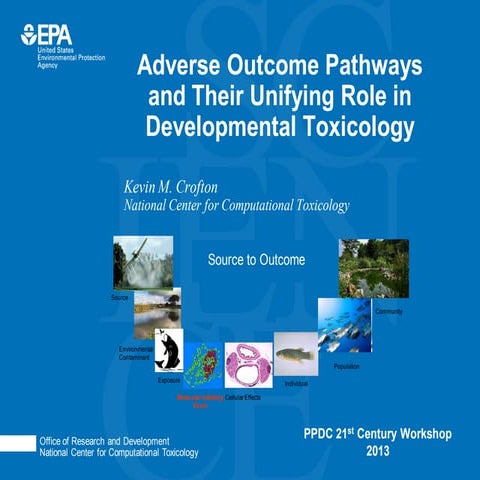 Crofton PPDC Workshop AOP Framework 2013 | PPT