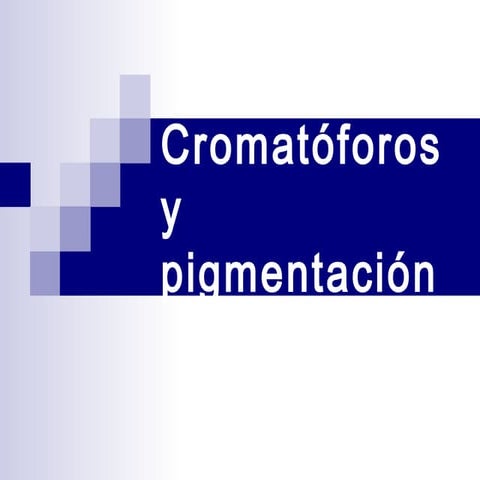 Cromatóforos y pigmentación - Lucía Sánchez | PPT