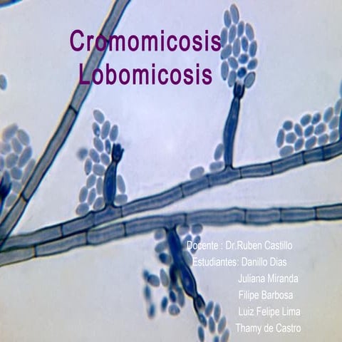 Cromomicosis (2) | PPT
