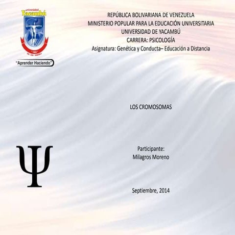 Update Resume-Deepali Nehete | DOCX