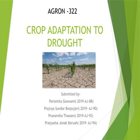 Service level agreement presentation | PPTX