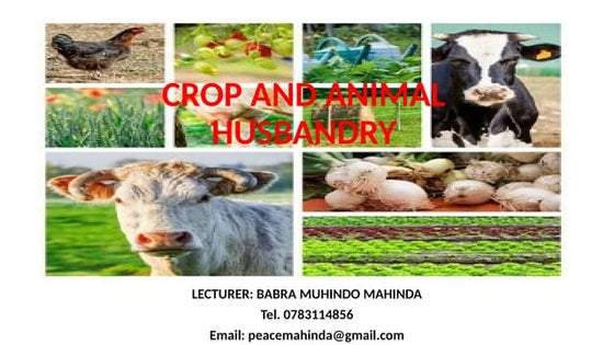 Multiple cropping systems | PPTX | Agriculture | Industries