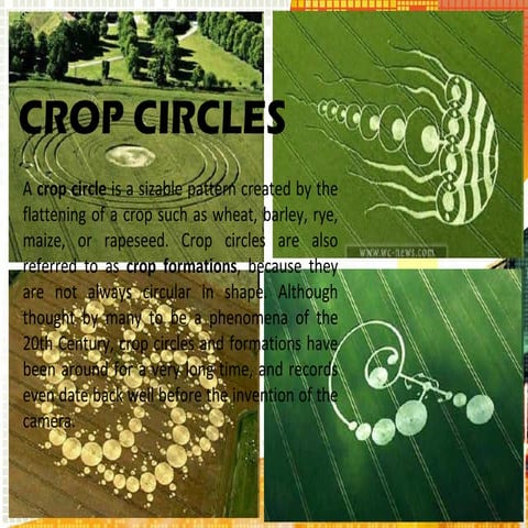 Crop Circles | PPT
