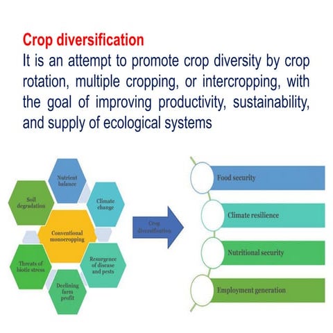 Crop diversification, advantages, disadvantages , types | PPTX