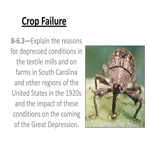 Crop failure 8 6.3 | PPTX