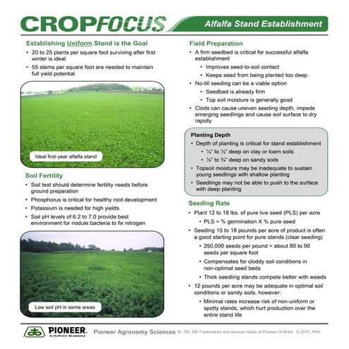 Lec 3a ROLE OF STAND ESTABLISHMENT IN CROP PRODUCTION.ppt