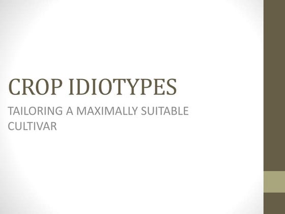 CROP IDEOTYPE CONCEPT- WHEAT, BARLEY, MAIZE AND COTTON | PPTX