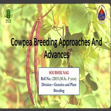 Crop improvement cowpea and advanced techniques | PPTX
