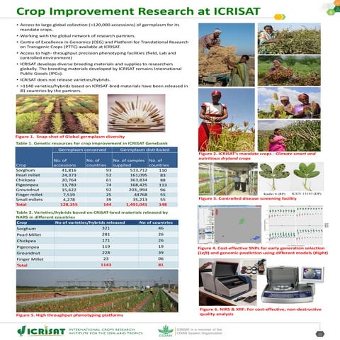 Crop Improvement Research at ICRISAT | PDF | Agriculture | Industries