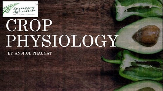 Crop Physiology and Its importance in agriculture.pptx