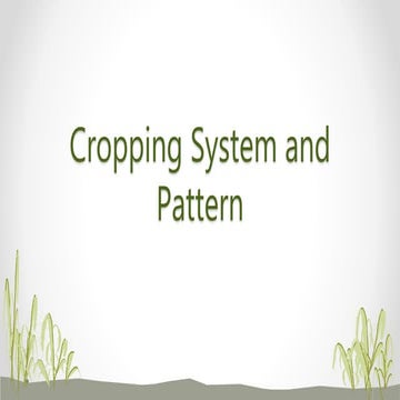 Cropping pattern | PPTX