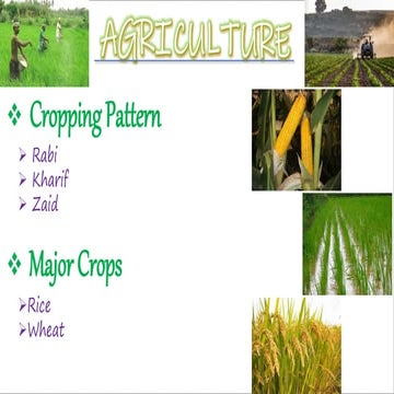 Cropping Patterns and Major Crops.pptx