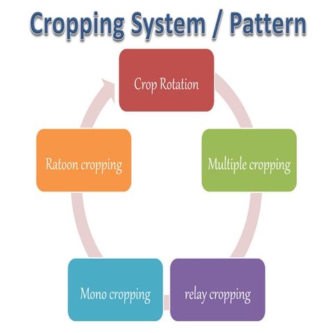 cropping system.pptx which is useful for b. com, students | PPTX