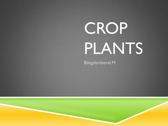 Sciophytes | PPTX | Gardening | Home & Garden