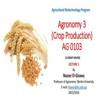CLASSIFICATION OF FIELD CROPS | PPTX