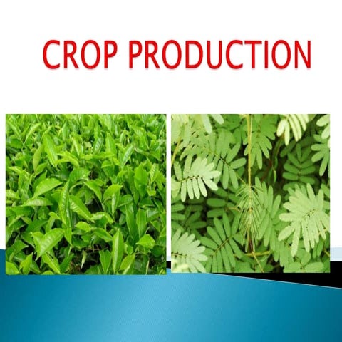 Crop production ppt | PPTX | Agriculture | Industries
