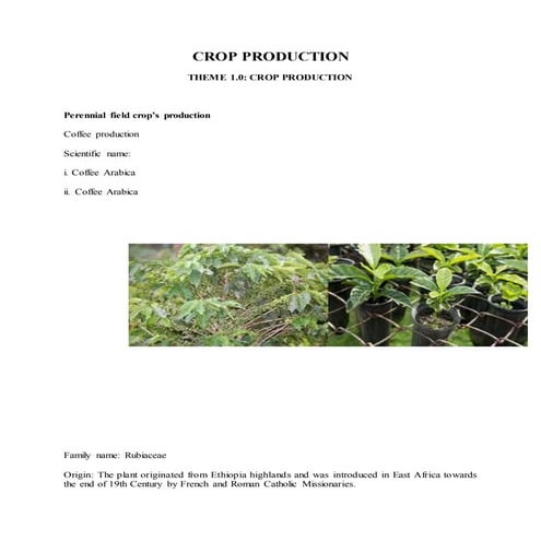 Crop production | DOCX